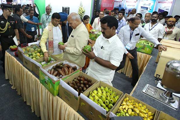 Food processing to touch USD 600 billion in 2020: Tamil Nadu Governor