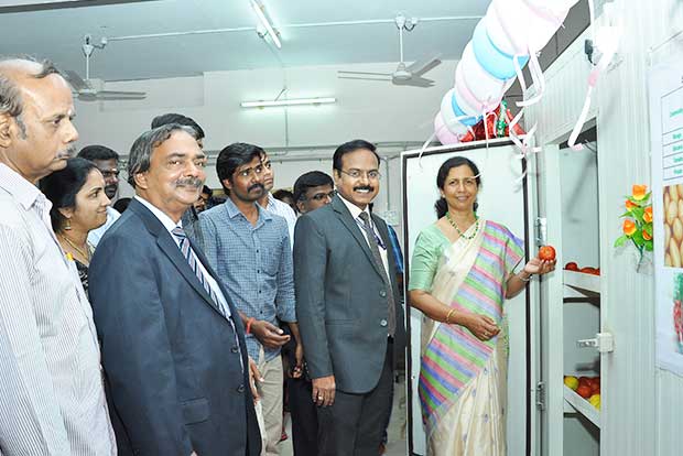 Team from NIT, IIFPT develops solar-assisted cold storage system