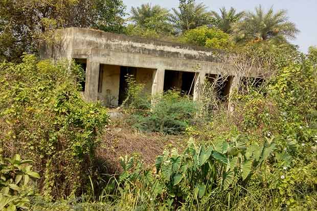 Built 15 years ago, unused PWD building left to the elements