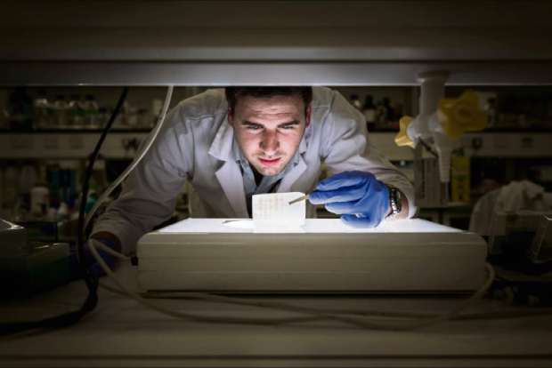 Electric field-based dressing fights bacterial infections