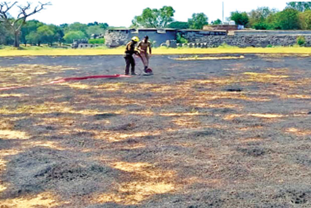 Dry grass lawn near Vellore fort set afire