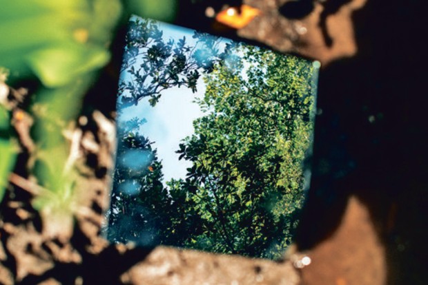 Acknowledging link with nature, key to human sustenance