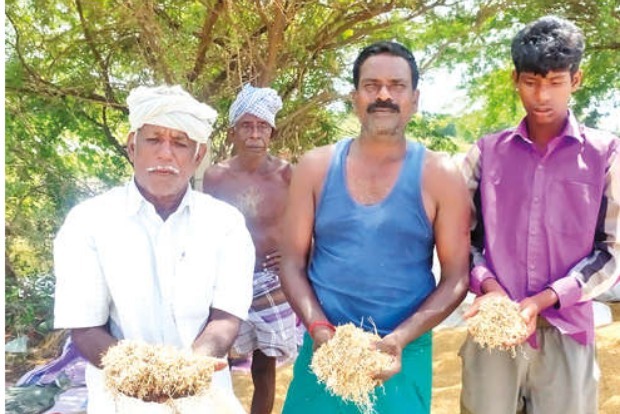 Slow procurement, rains damaging paddy: Ryots