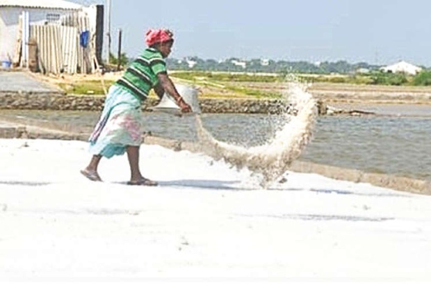 Producers warn of imminent salt scarcity due to excess rains in T’kudi