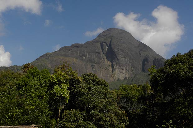 India's Agasthyamala listed among 20 world biosphere reserves