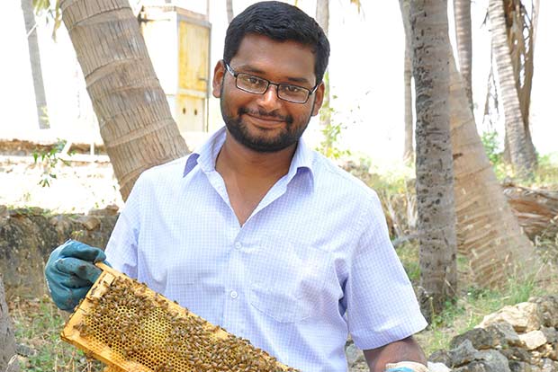 A sweet success story