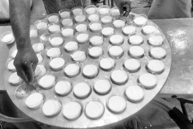 Plastic is the secret behind Kovai's attractively-designed cup idli