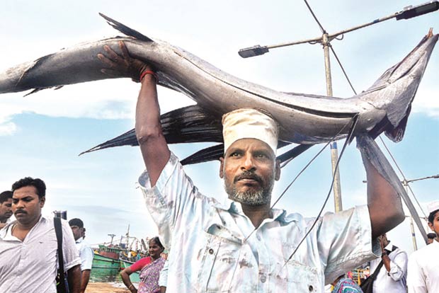 Tangled web of problems