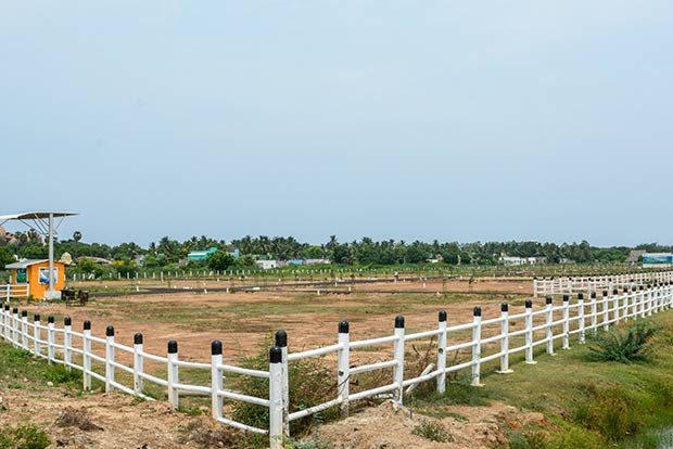 6-month extension for regularisation of plots