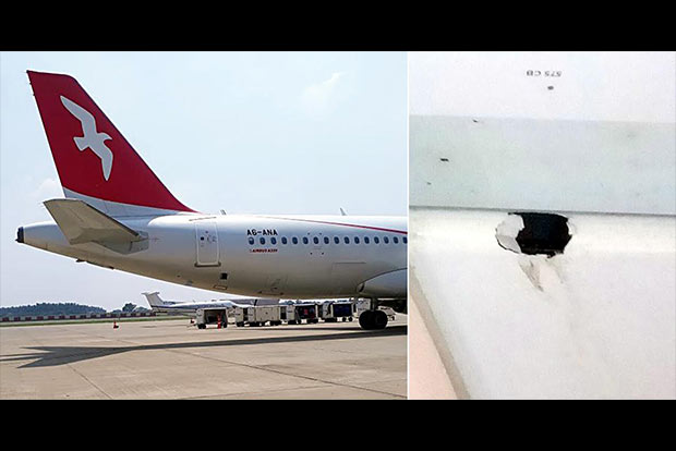 Close shave for passengers as bird hits flight