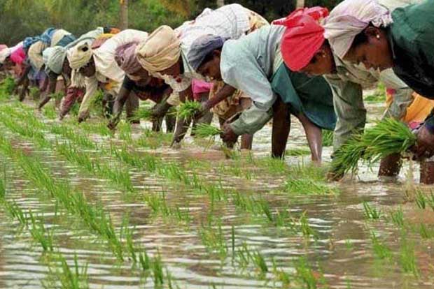 24X7 free power supply for Telangana farmers from today